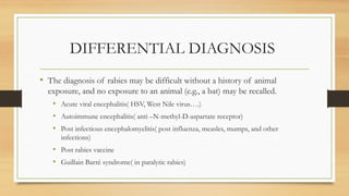 RABIES single strand RNA virus zoonotic infection | PPT