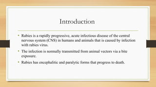 RABIES single strand RNA virus zoonotic infection | PPT