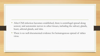 RABIES single strand RNA virus zoonotic infection | PPT