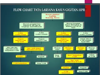 RABIES CHUSNI MUBARAKH(1).ppt....................... | PPT