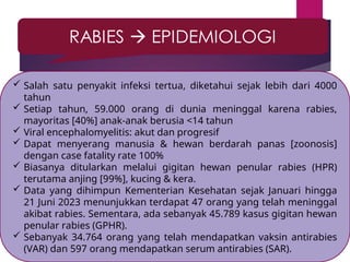 RABIES CHUSNI MUBARAKH(1).ppt....................... | PPT