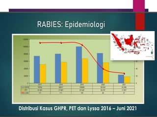 RABIES CHUSNI MUBARAKH(1).ppt....................... | PPT