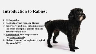 Rabies Clinical Disease Mangement By Waqas Siddiqe.pptx