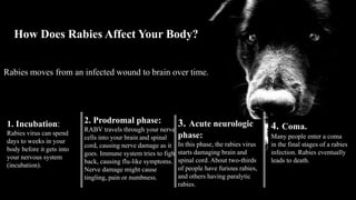 Rabies Clinical Disease Mangement By Waqas Siddiqe.pptx