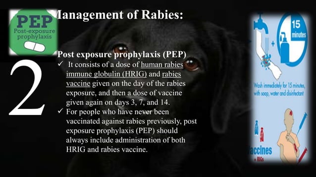 Rabies Clinical Disease Mangement By Waqas Siddiqe.pptx
