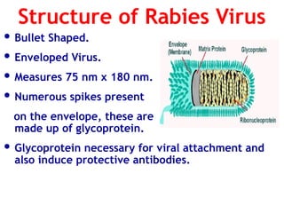 National rabies control program guidelines | PPTX