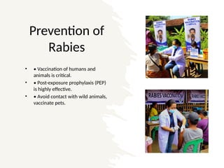 Rabies_Etiology_Epidemiology_Pathogenesis_ | PPT