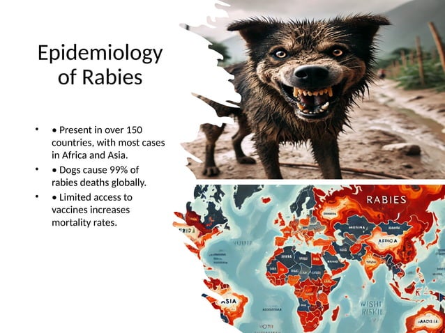 Rabies_Etiology_Epidemiology_Pathogenesis_ | PPT