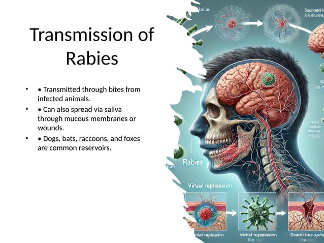Rabies_Etiology_Epidemiology_Pathogenesis_ | PPT