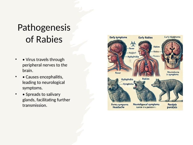 Rabies_Etiology_Epidemiology_Pathogenesis_ | PPT