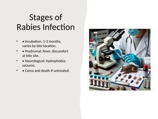 Rabies_Etiology_Epidemiology_Pathogenesis_ | PPT