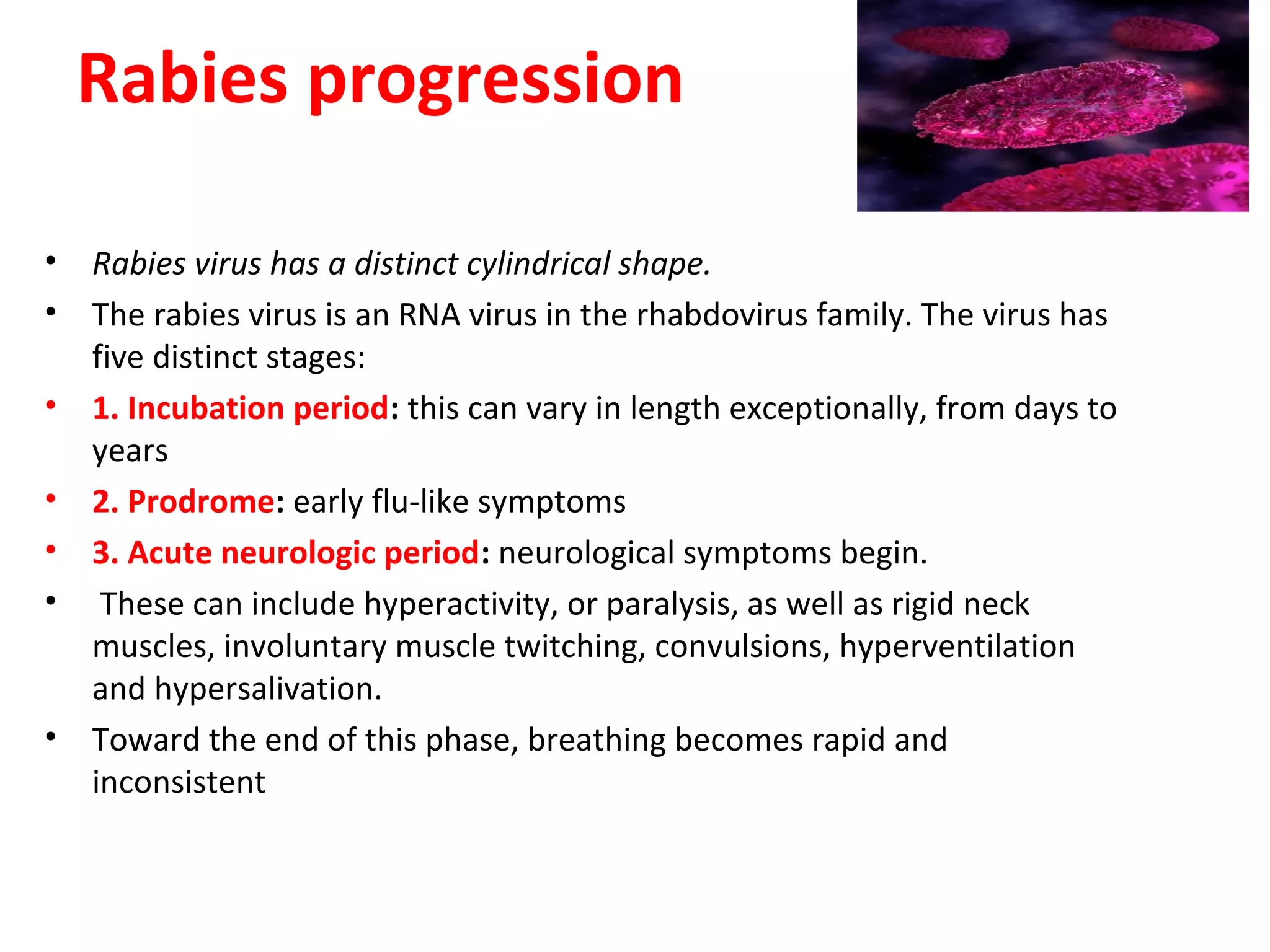 Rabies final | PPT