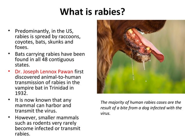 Rabies final | PPT