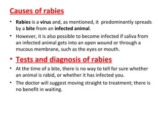 Rabies final | PPT