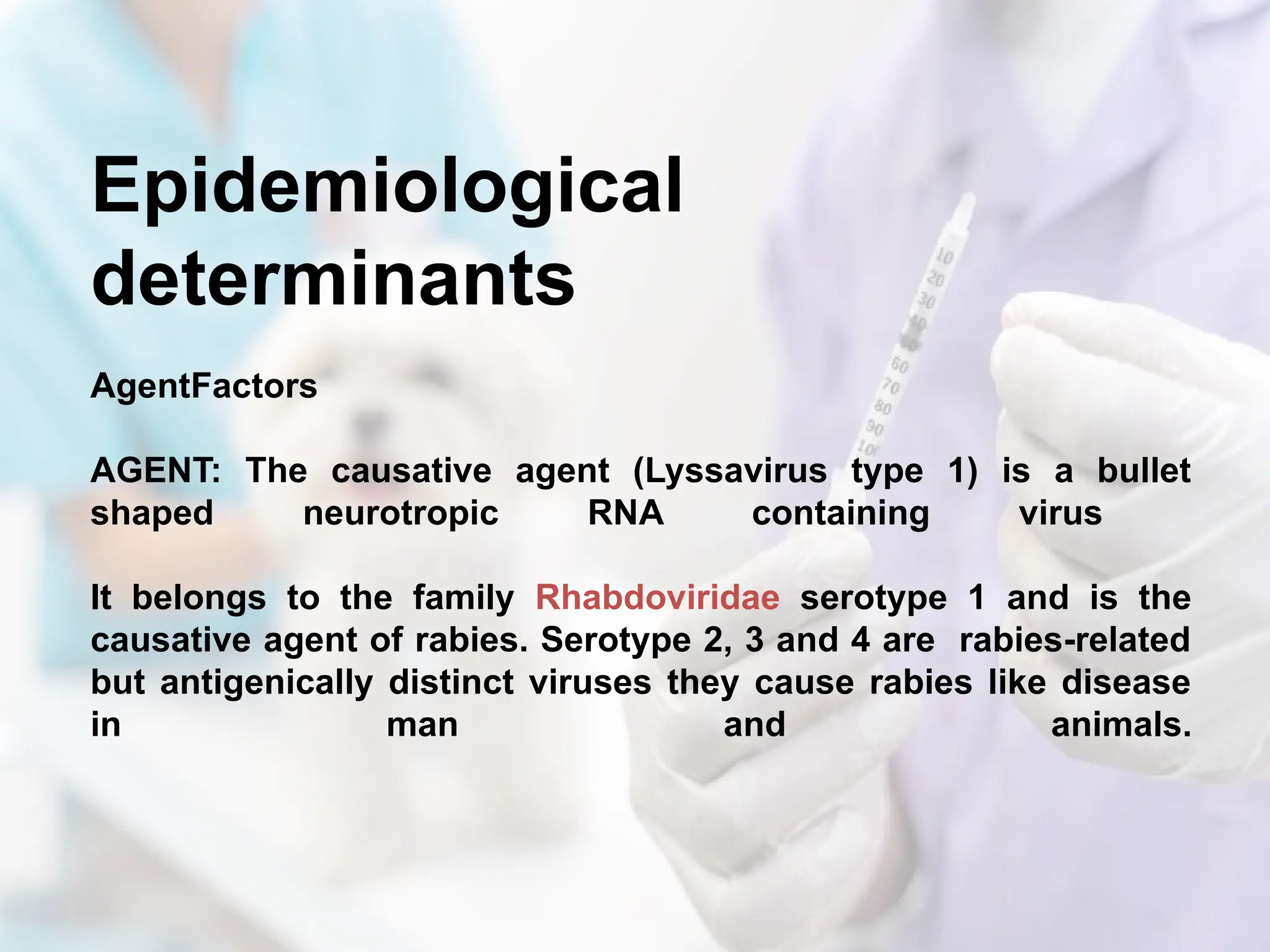 RABIES community medicine japnese encephalitis.pptx