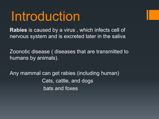 Rabies ppt | PPTX