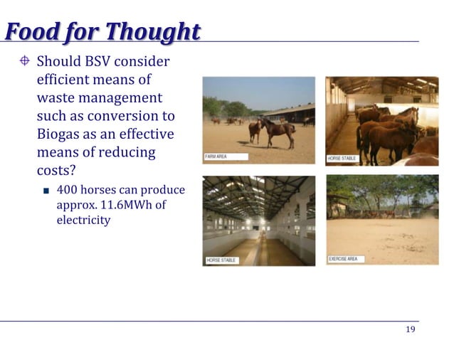 Rabies Project_Bharat Serums and Vaccines Limited_Karan Daftary | PPT