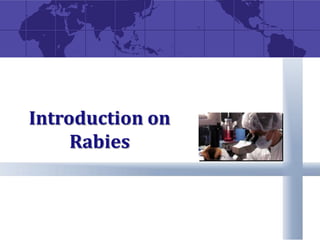Rabies Project_Bharat Serums and Vaccines Limited_Karan Daftary | PPT