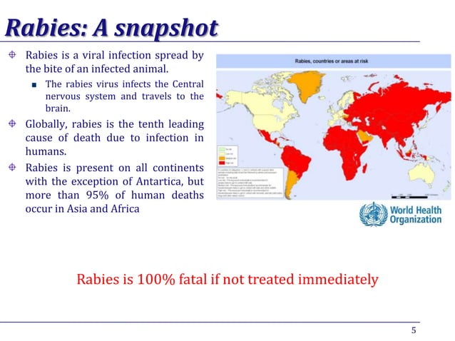 Rabies Project_Bharat Serums and Vaccines Limited_Karan Daftary | PPT