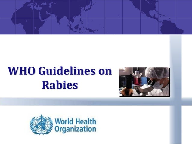 Rabies Project_Bharat Serums and Vaccines Limited_Karan Daftary | PPT