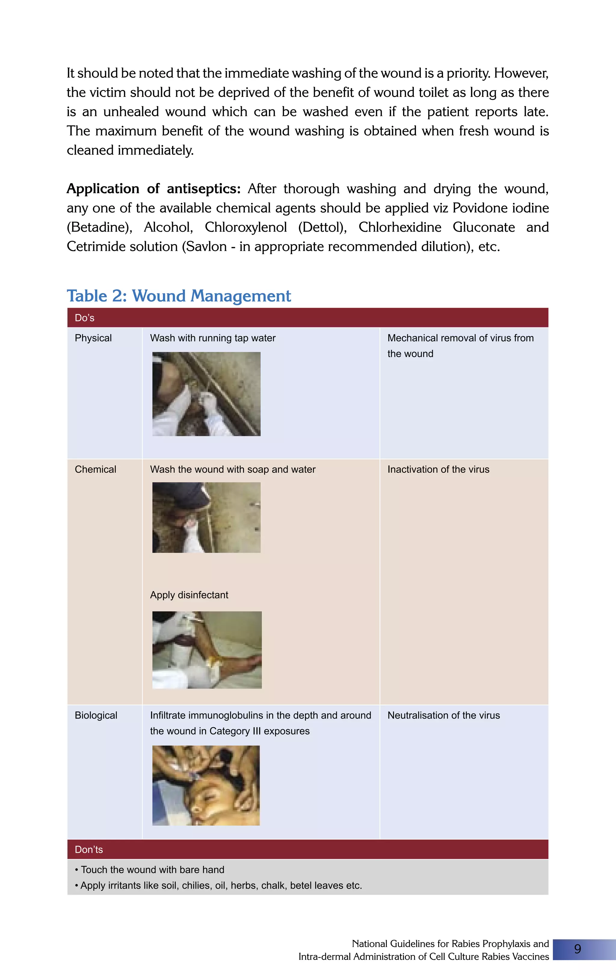 Rabies guidelines | PDF