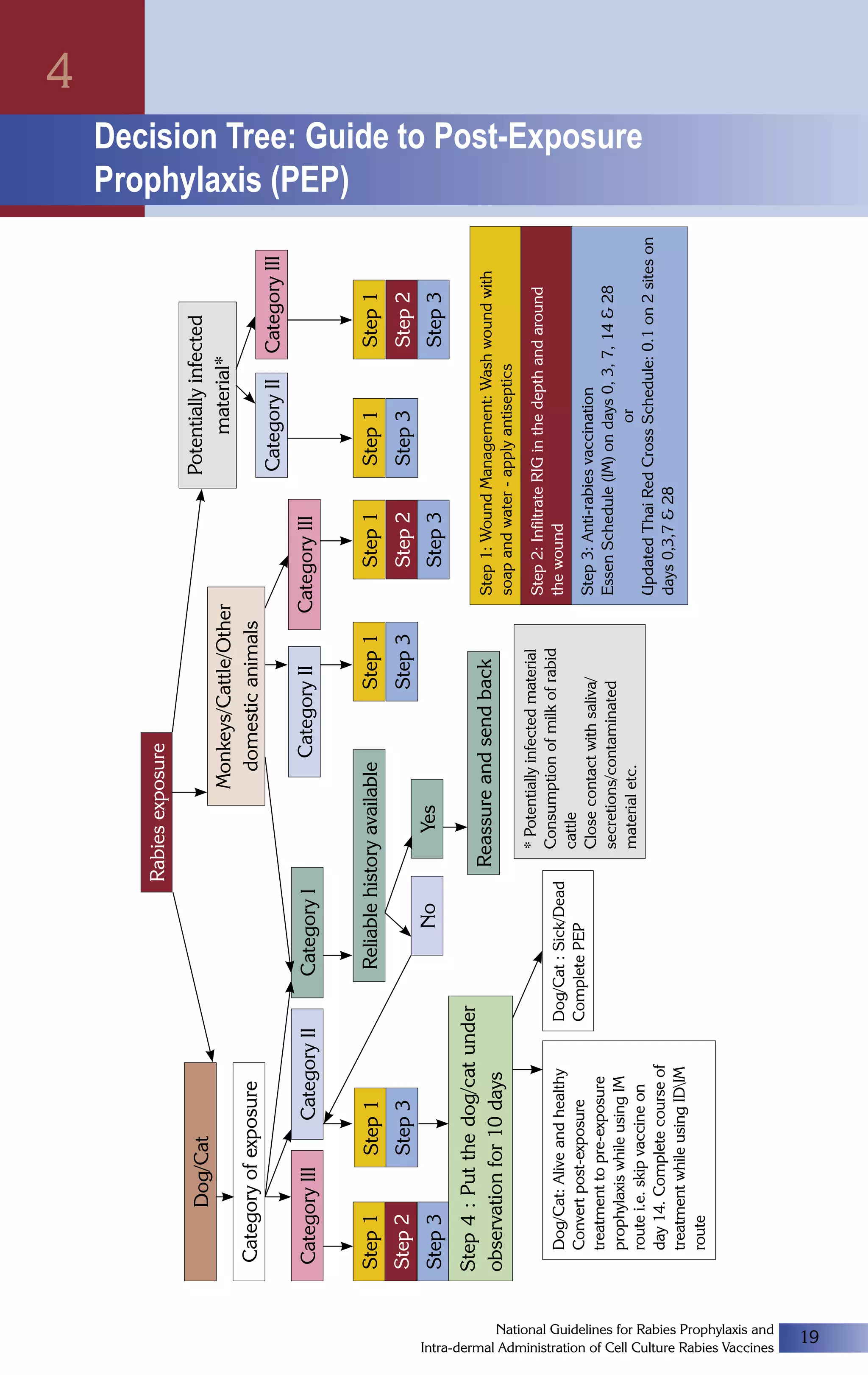 Rabies guidelines | PDF