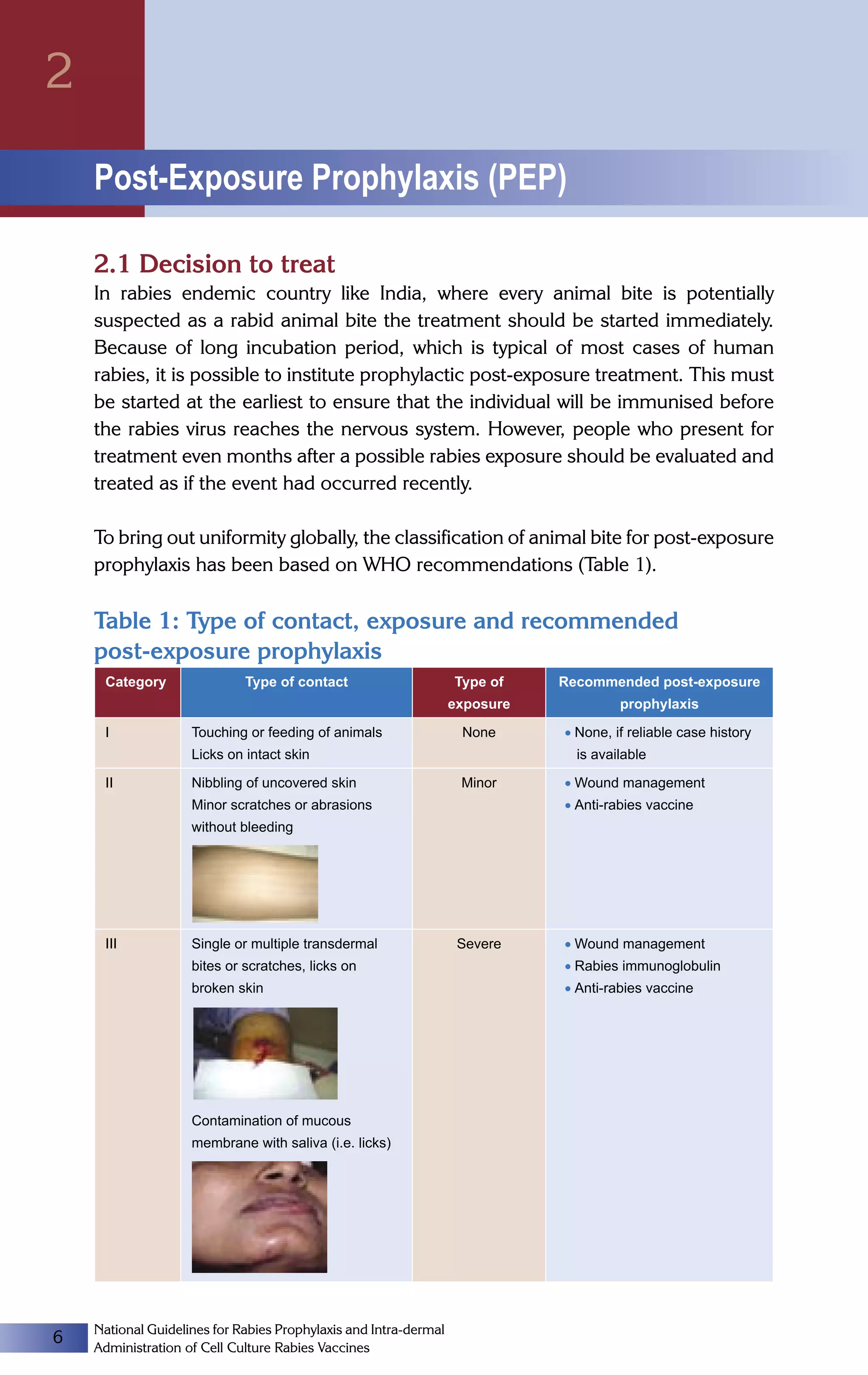 Rabies guidelines | PDF