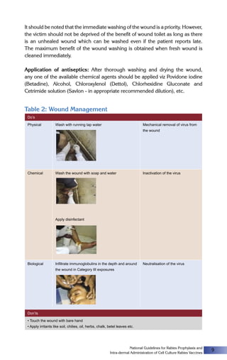 Rabies guidelines | PDF