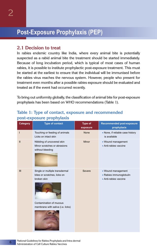 Rabies guidelines | PDF