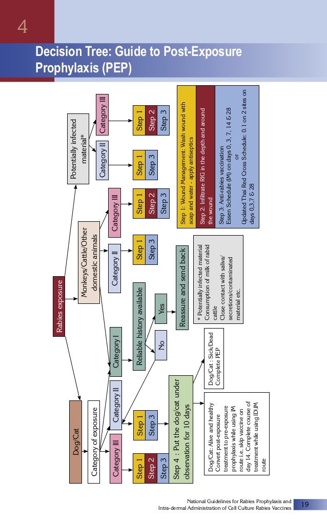 Rabies guidelines