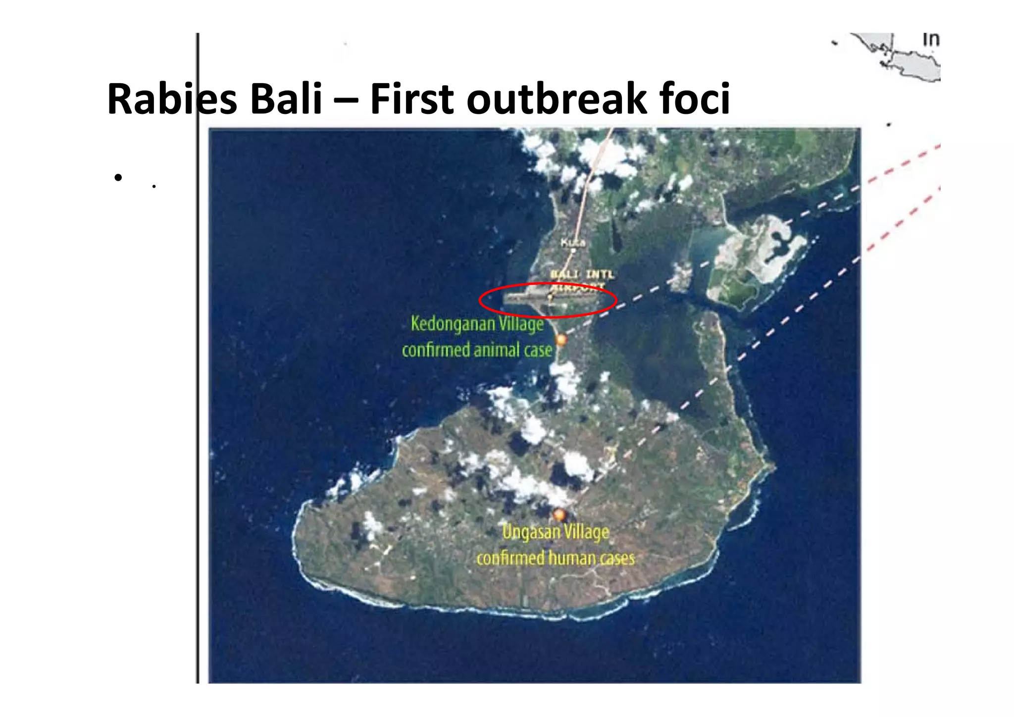 Rabies in Bali: A chronology and experience made with an EcoHealth ...