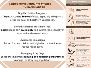**Rabies prevention relies on dog vaccination, PEP, awareness, and ...