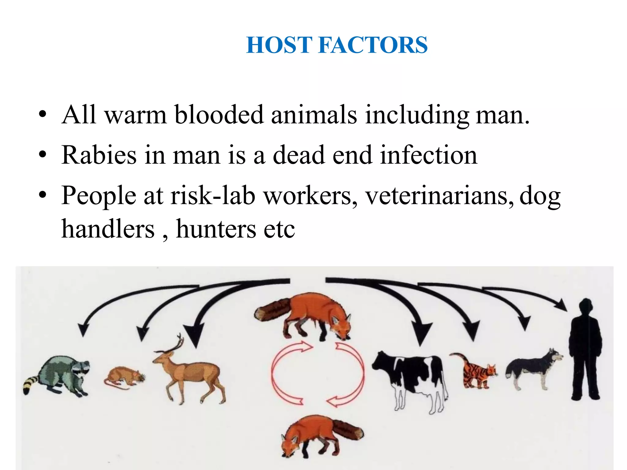 Rabies Infection.pptx