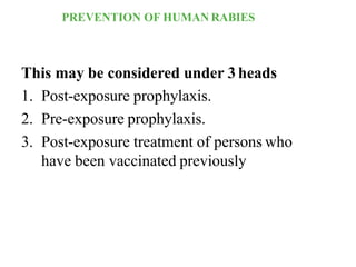Rabies Infection.pptx