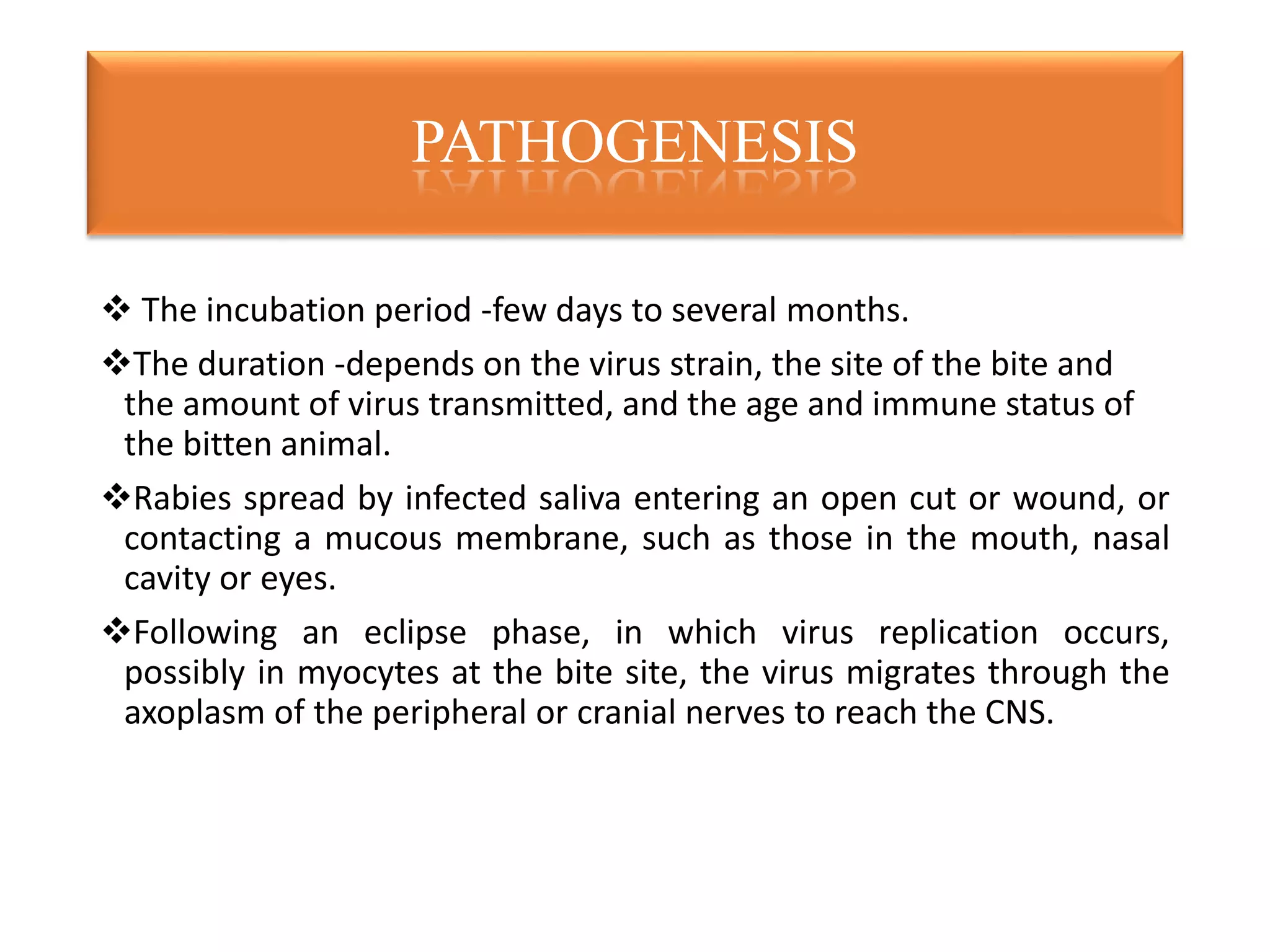 Rabies in pigs | PPTX