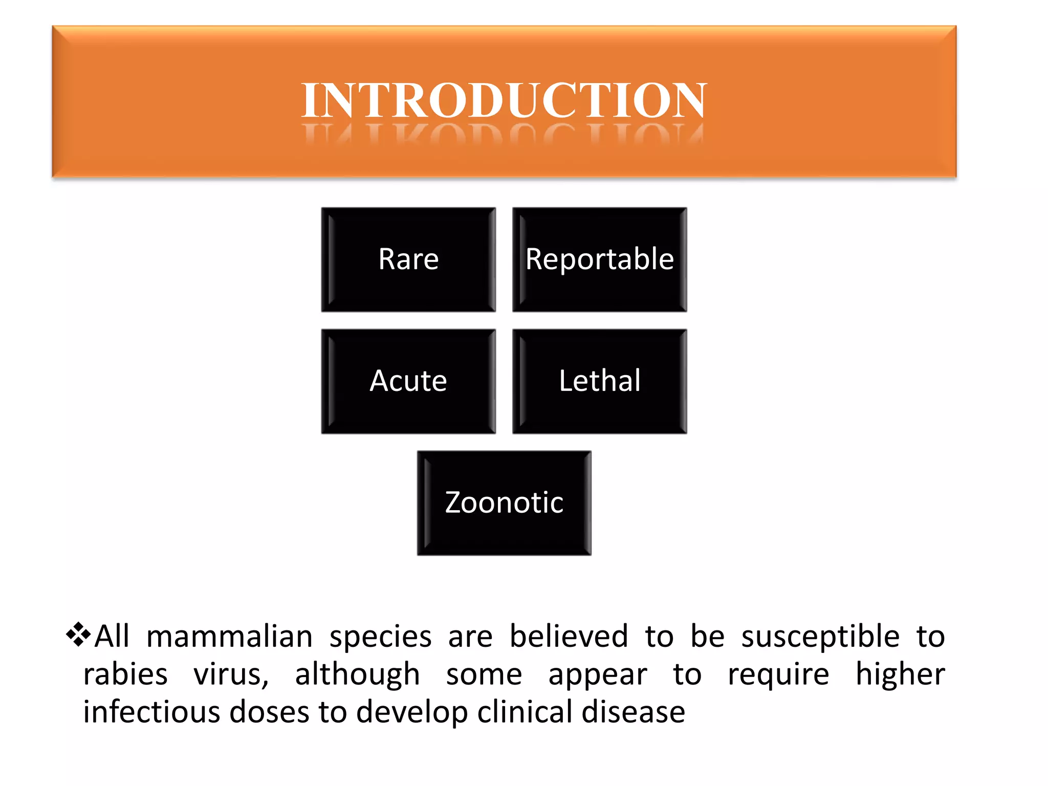 Rabies in pigs | PPTX