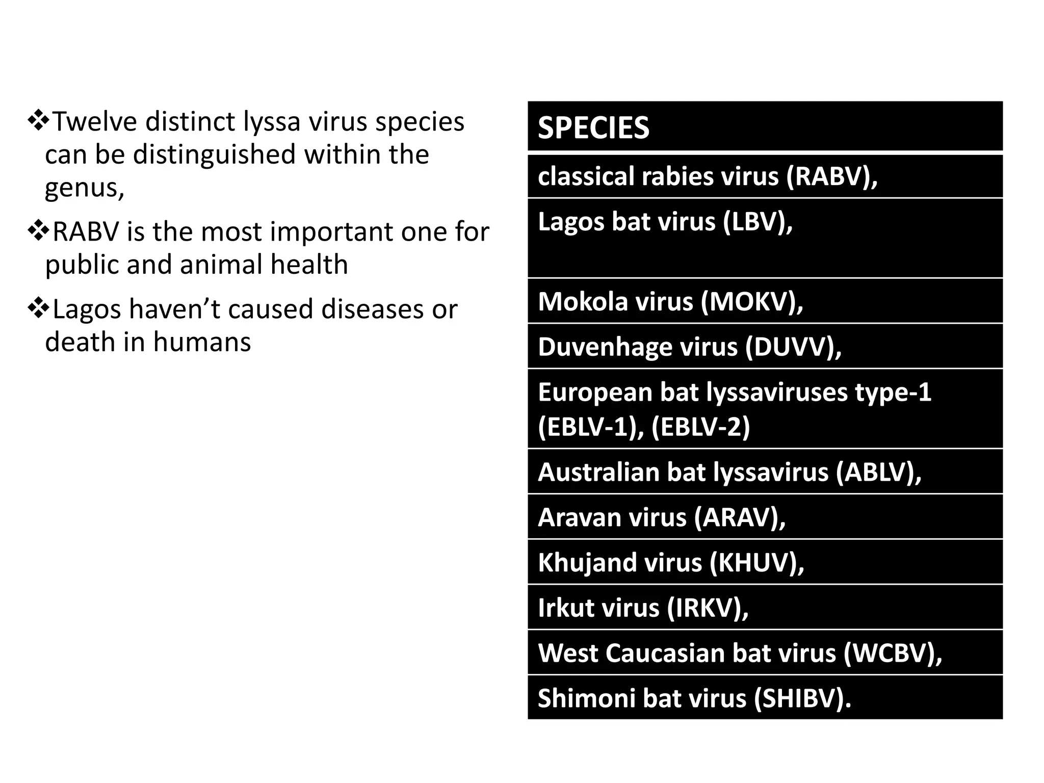 Rabies in pigs | PPTX