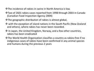 Rabies in pigs | PPTX