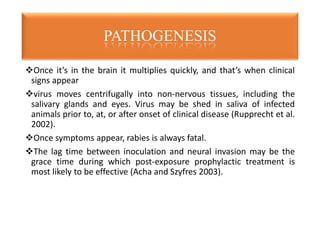 Rabies in pigs | PPTX