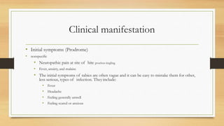 Rabies Lecture (infection) | PPTX