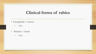 Rabies Lecture (infection) | PPTX