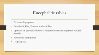 Rabies Lecture (infection) | PPTX