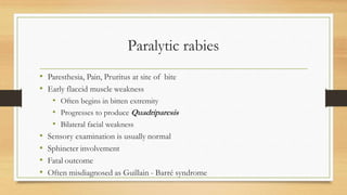 Rabies Lecture (infection) | PPTX | Infectious Diseases | Diseases and ...
