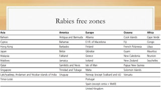 Rabies Lecture (infection) | PPTX