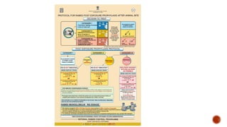 rabies management & prevn.pptx medicine rabies | PPT