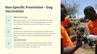 rabies jhvjjhvjjhvjjhvjjhvjjhvjjhvj1.pptx