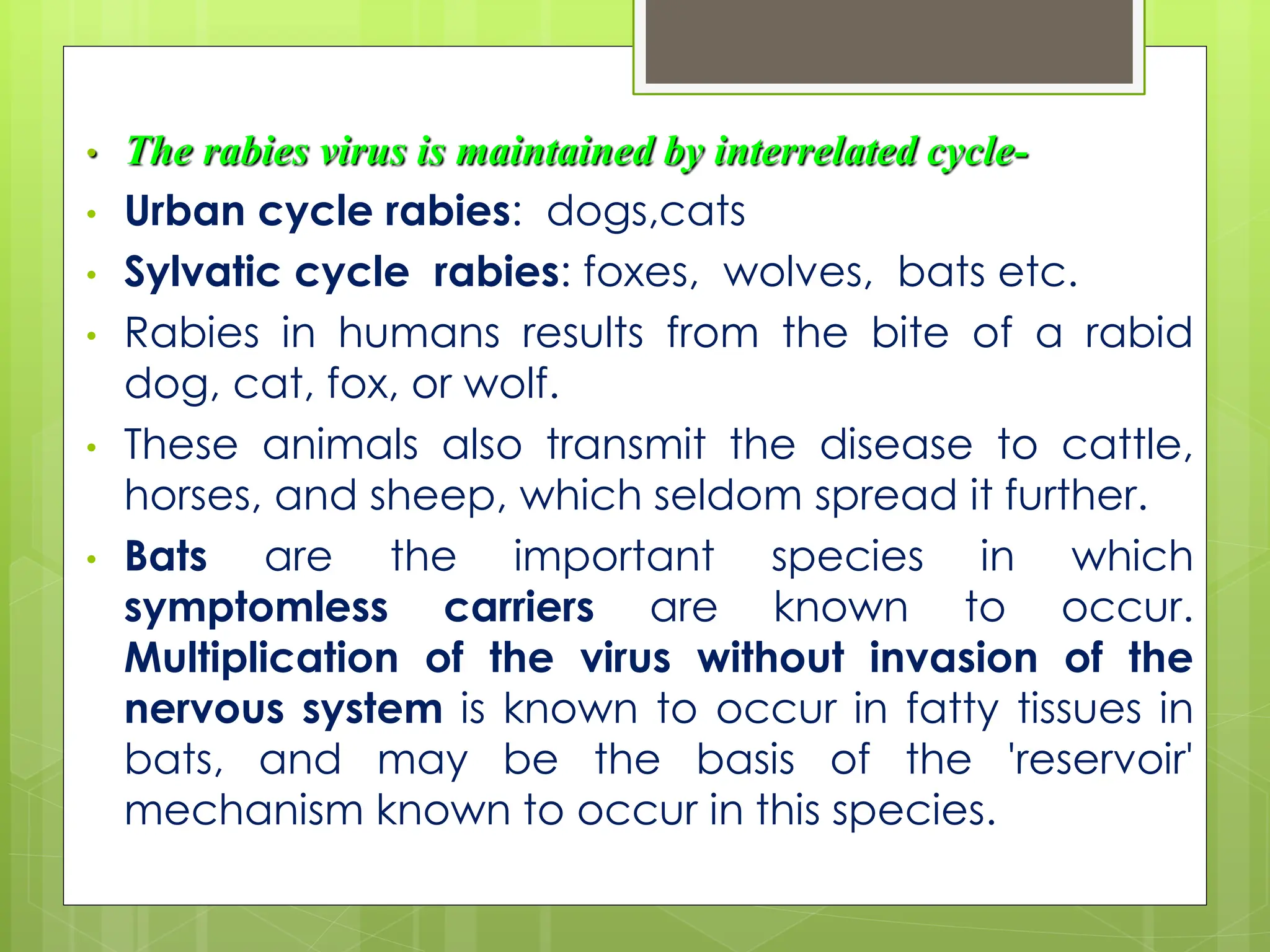 Rabies Pathology . Rabies causes treatment | PDF