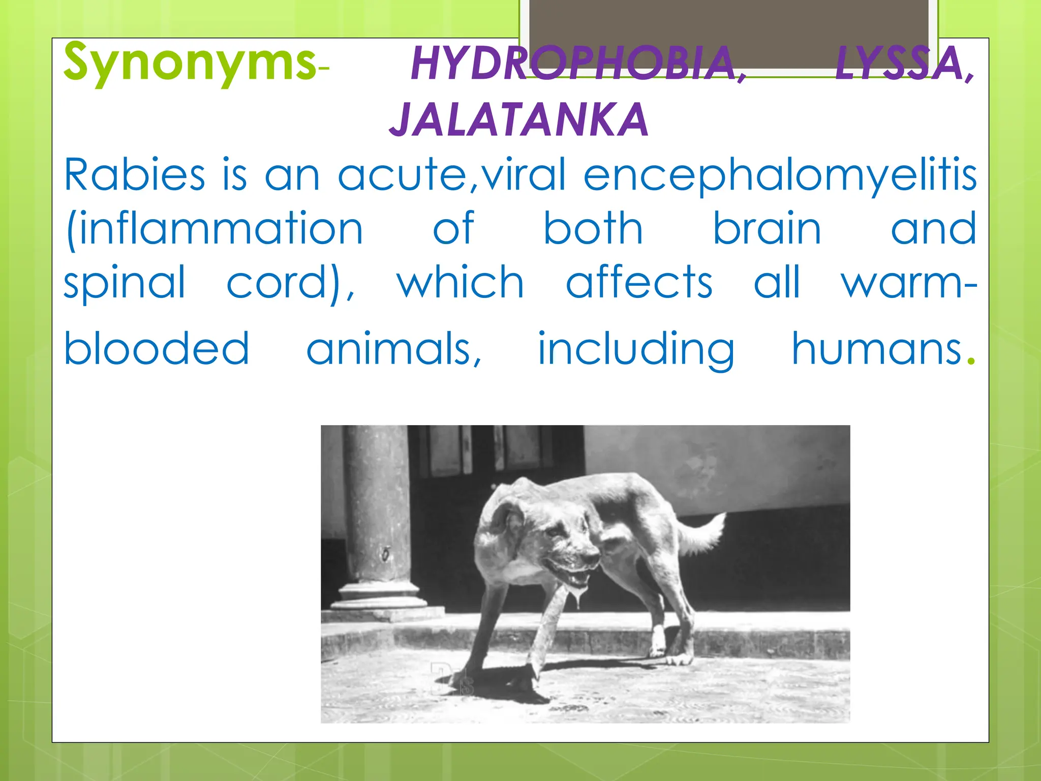 Rabies Pathology . Rabies causes treatment | PDF