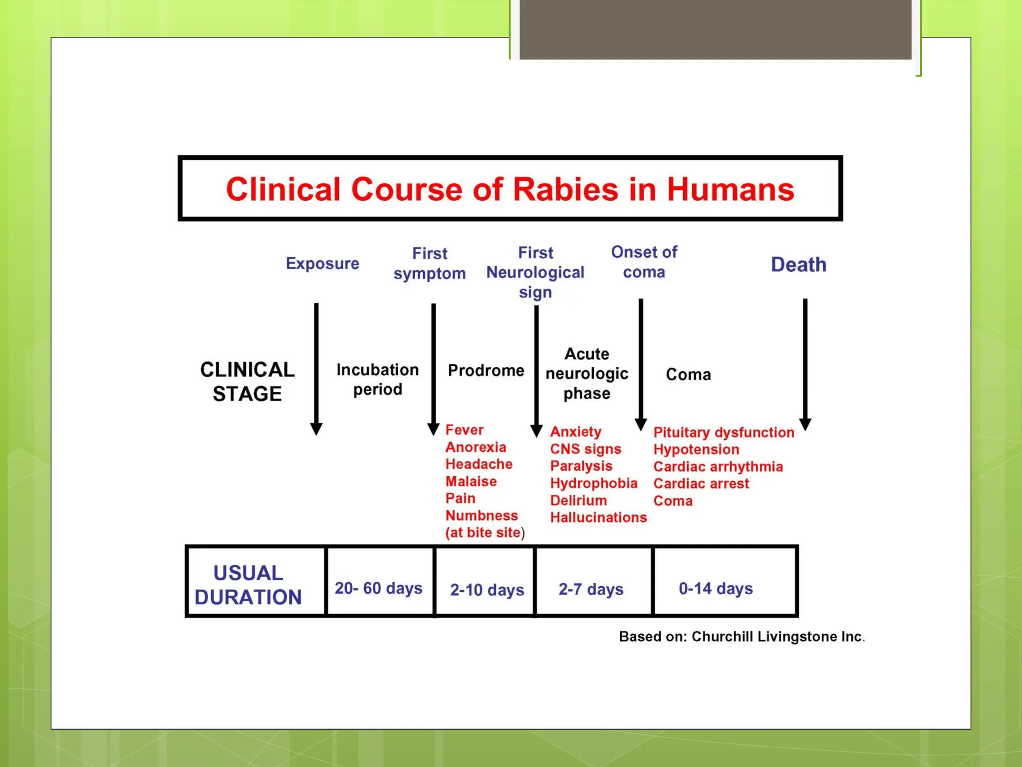 Rabies Pathology . Rabies causes treatment | PDF