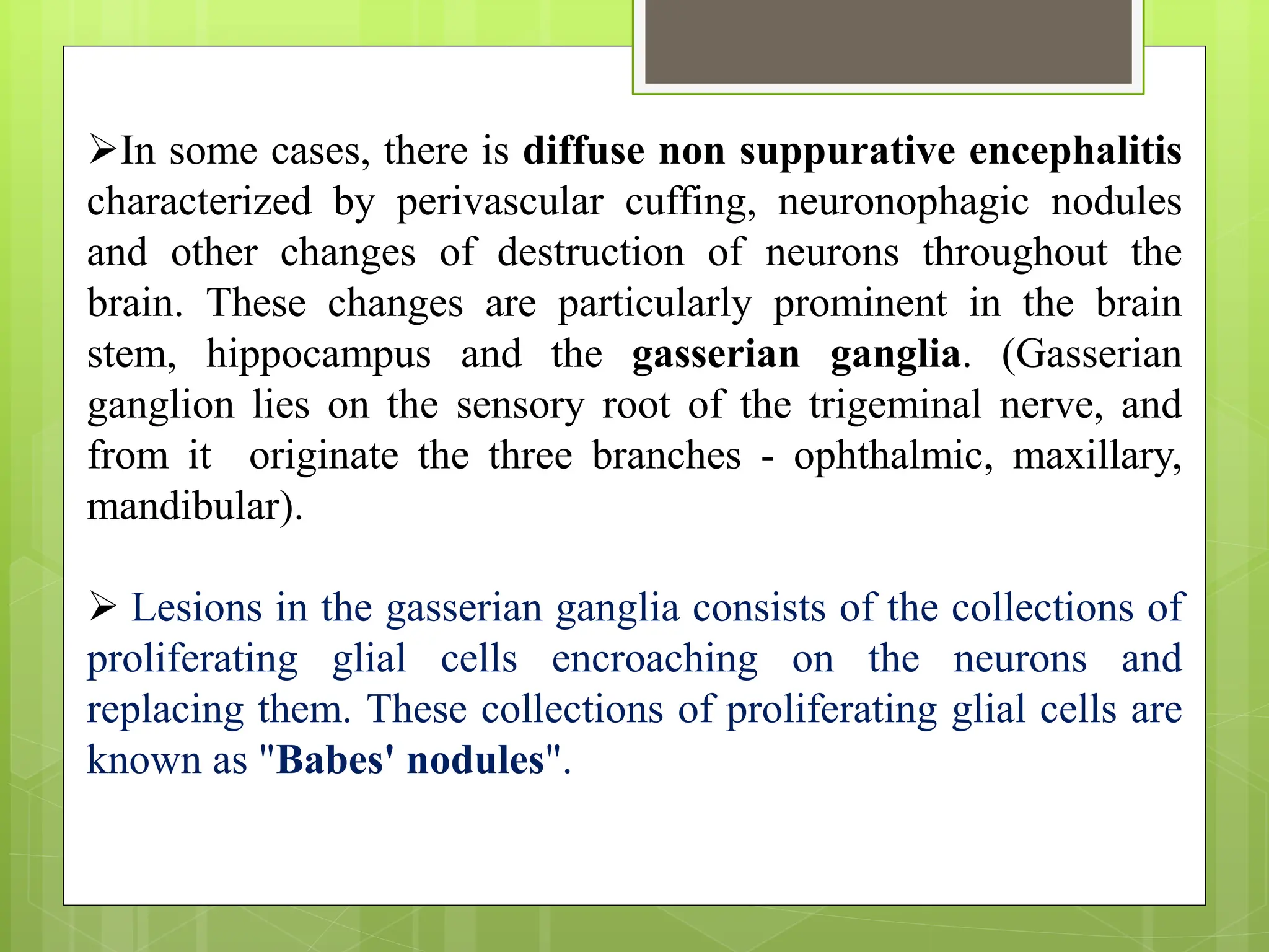 Rabies Pathology . Rabies causes treatment | PDF